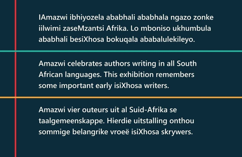 Exhibitions – Amazwi South African Museum Of Literature